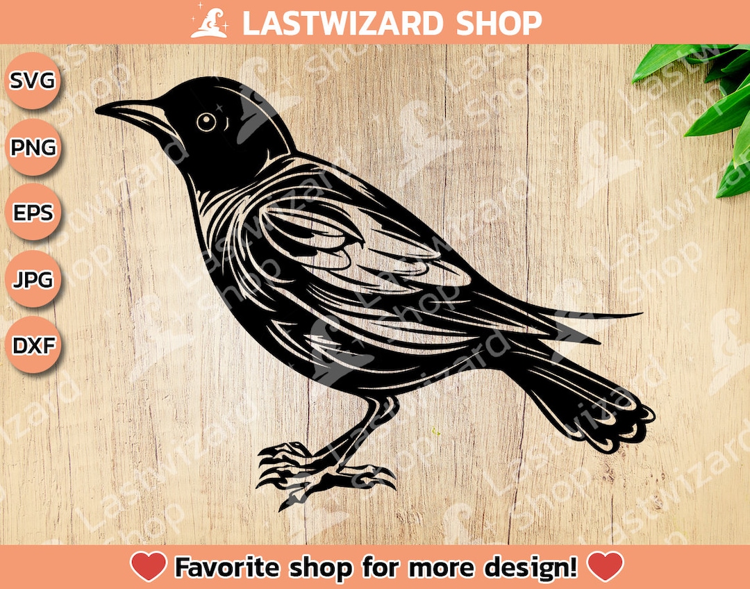 Bluebird Svg Png Dxf, Bird Watching Svg, Wedding Svg, Spring Signs Svg ...