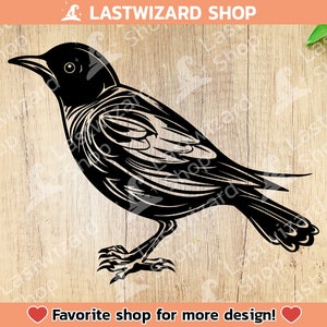 Bluebird Svg Png Dxf, Bird Watching Svg, Wedding Svg, Spring Signs Svg ...