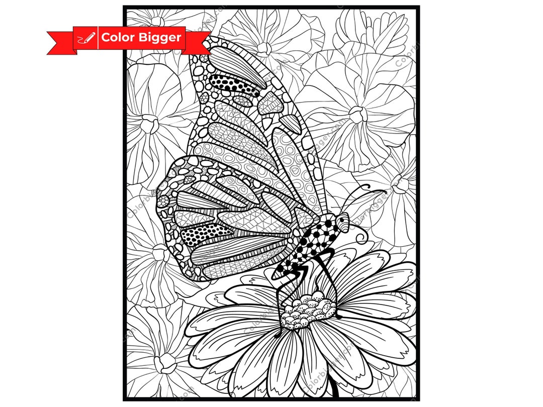 Huge Butterfly Coloring Poster in Sizes 24x32 or 36x48, Home Decor ...