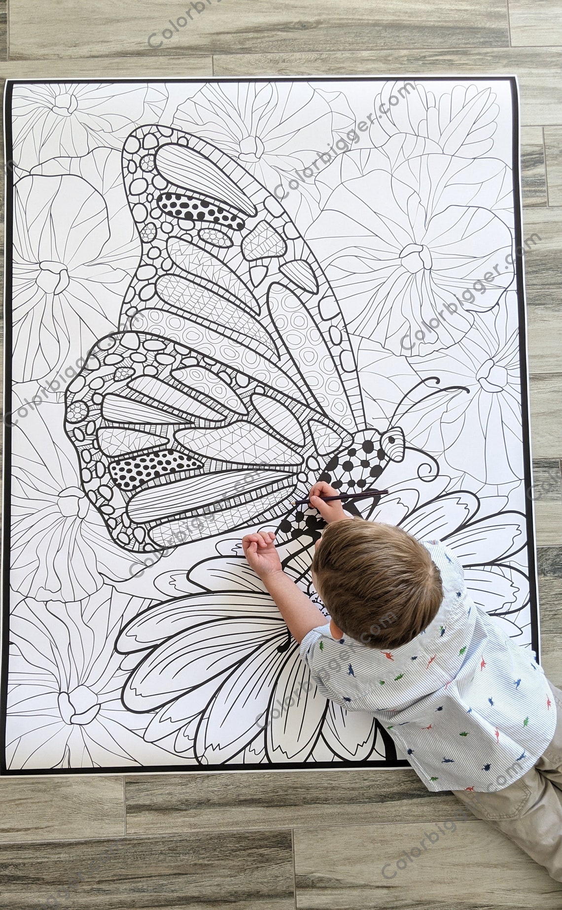 Huge Butterfly Coloring Poster in Sizes 24x32 or 36x48 Home - Etsy