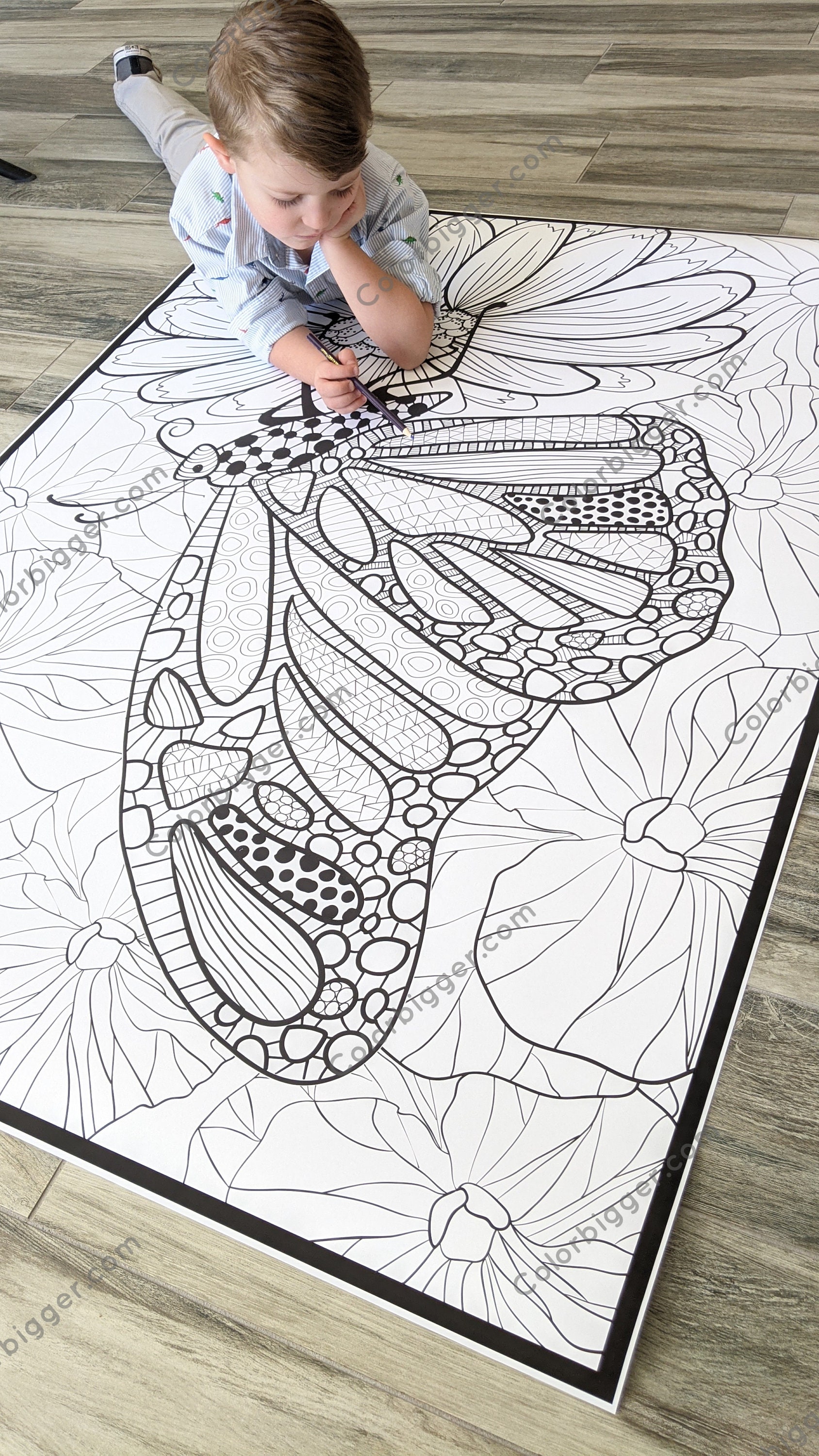 Huge Butterfly Coloring Poster in Sizes 24x32 or 36x48, Home Decor ...
