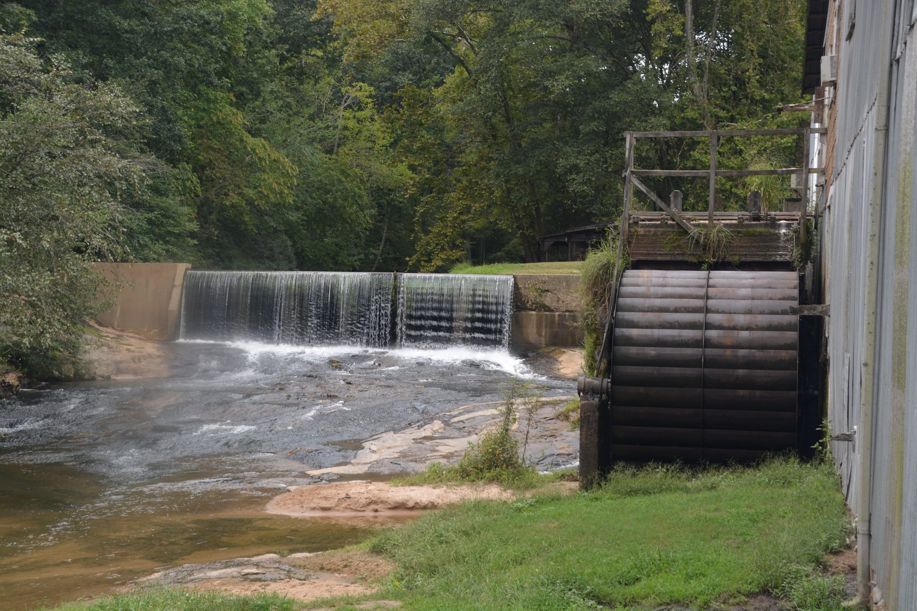 CORN MEAL PLAIN- Linney Water Mill - Etsy