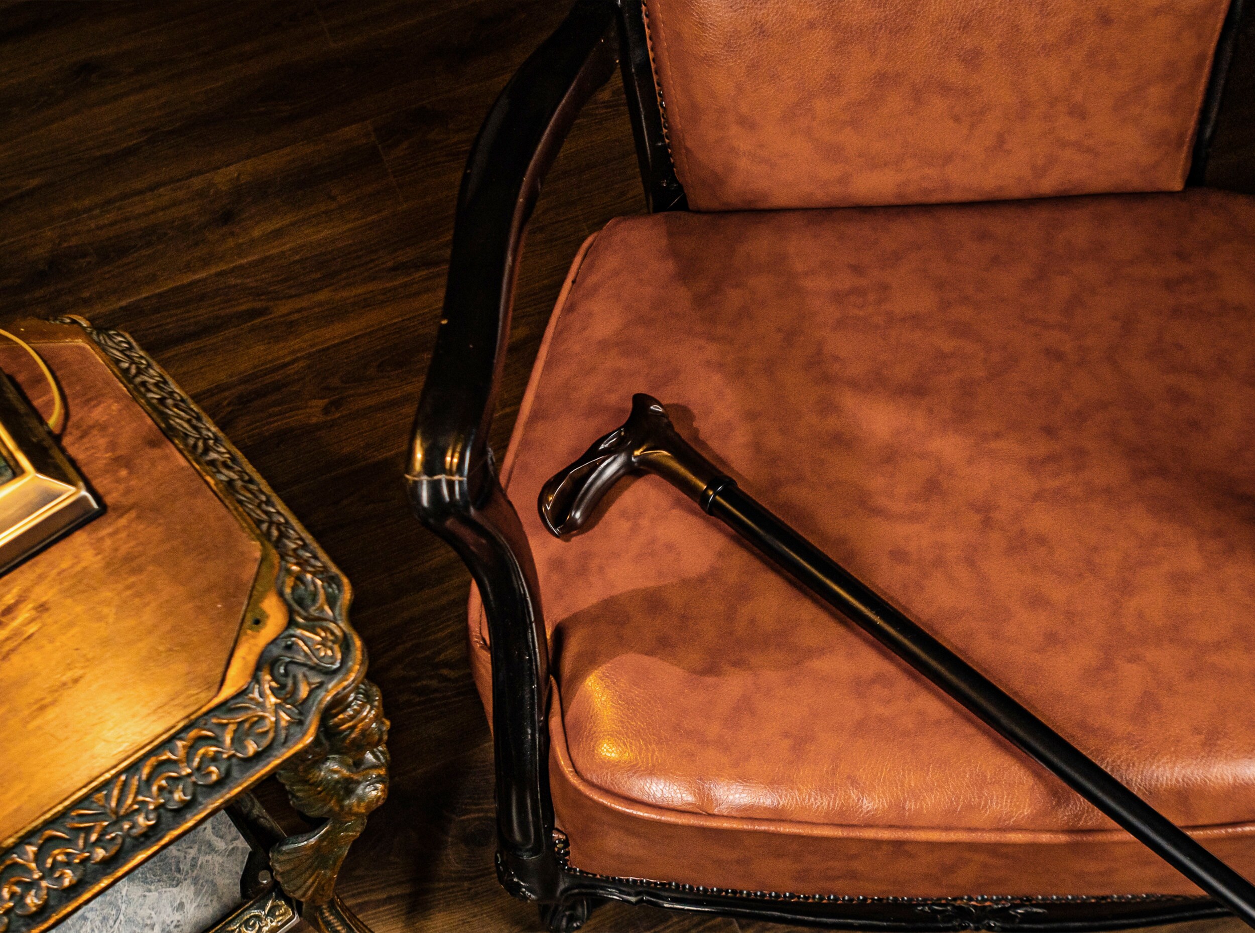 Artistic Cane, Designer Cane, Man Walking Cane, Creepy Cane, Walking ...