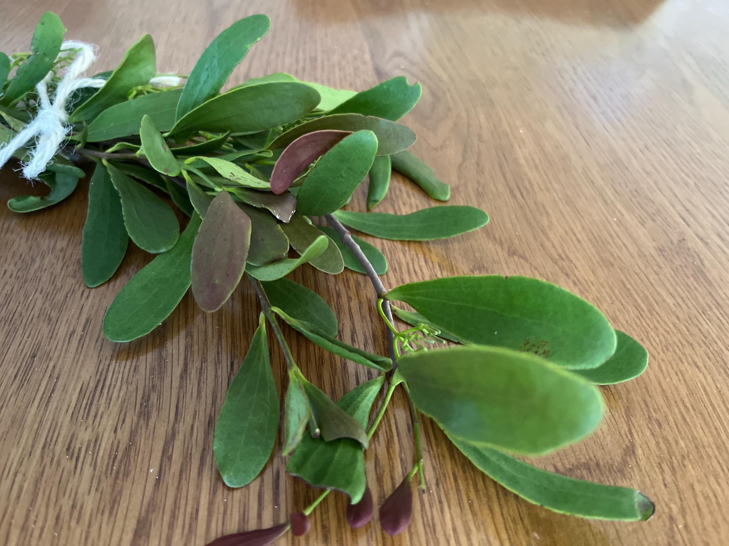 Mistletoe Bunches Native Eco Friendly Holiday Decorating - Etsy Australia
