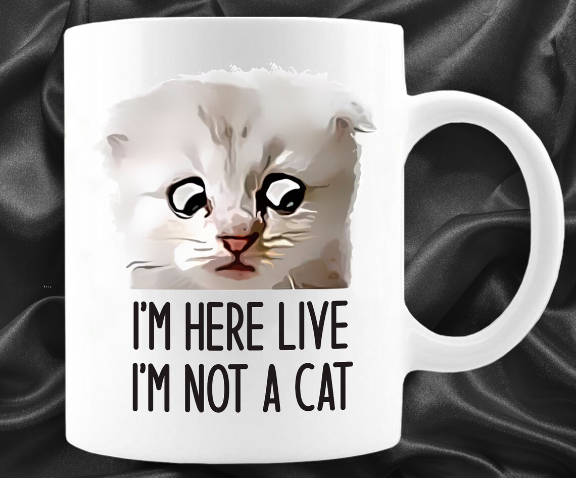 Cat Zoom, I Am Here Live, I Am Not A Cat Funny Mug, Cat Filter Zoom ...
