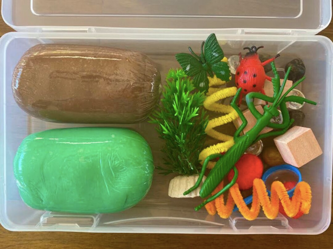 Bug Outdoor Play Dough Sensory Kit Kids Play Joy - Etsy