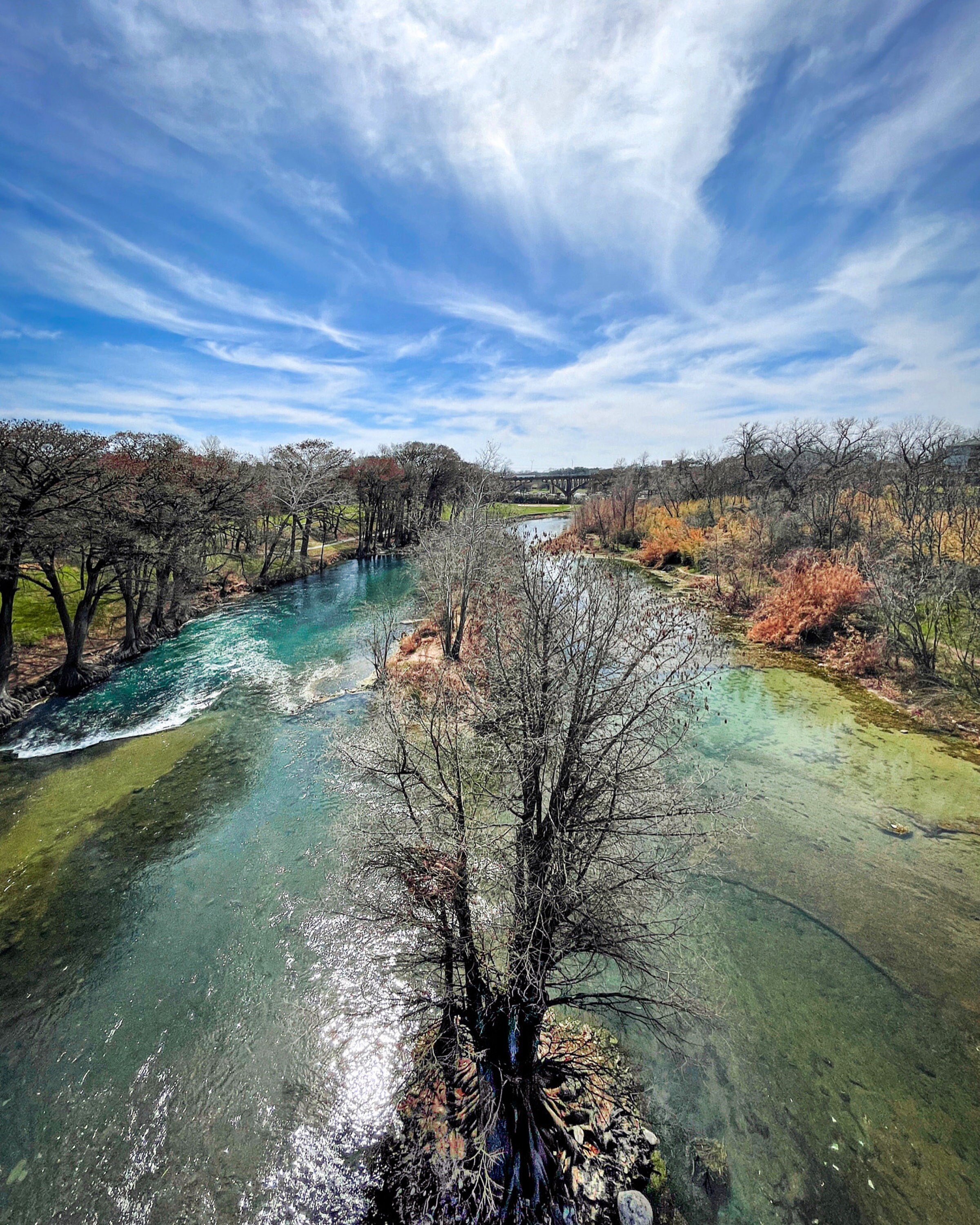 Impresión del río Guadalupe de 20" x 16" visto desde el puente de la ...