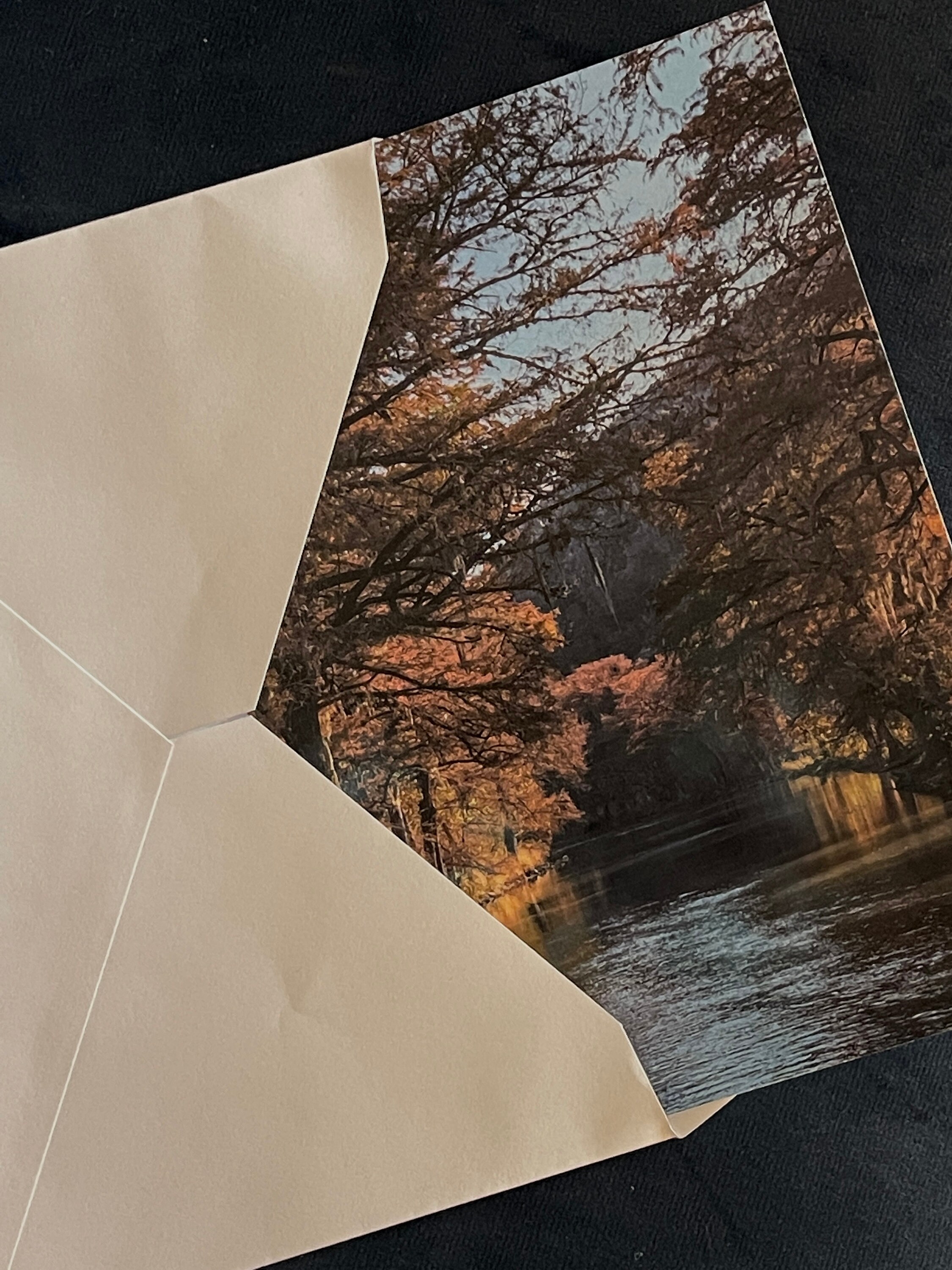 Guadalupe River Postcard - Etsy