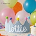 Personalized Birthday Crown, First Birthday Crown, Kid Party Hat, Boy ...