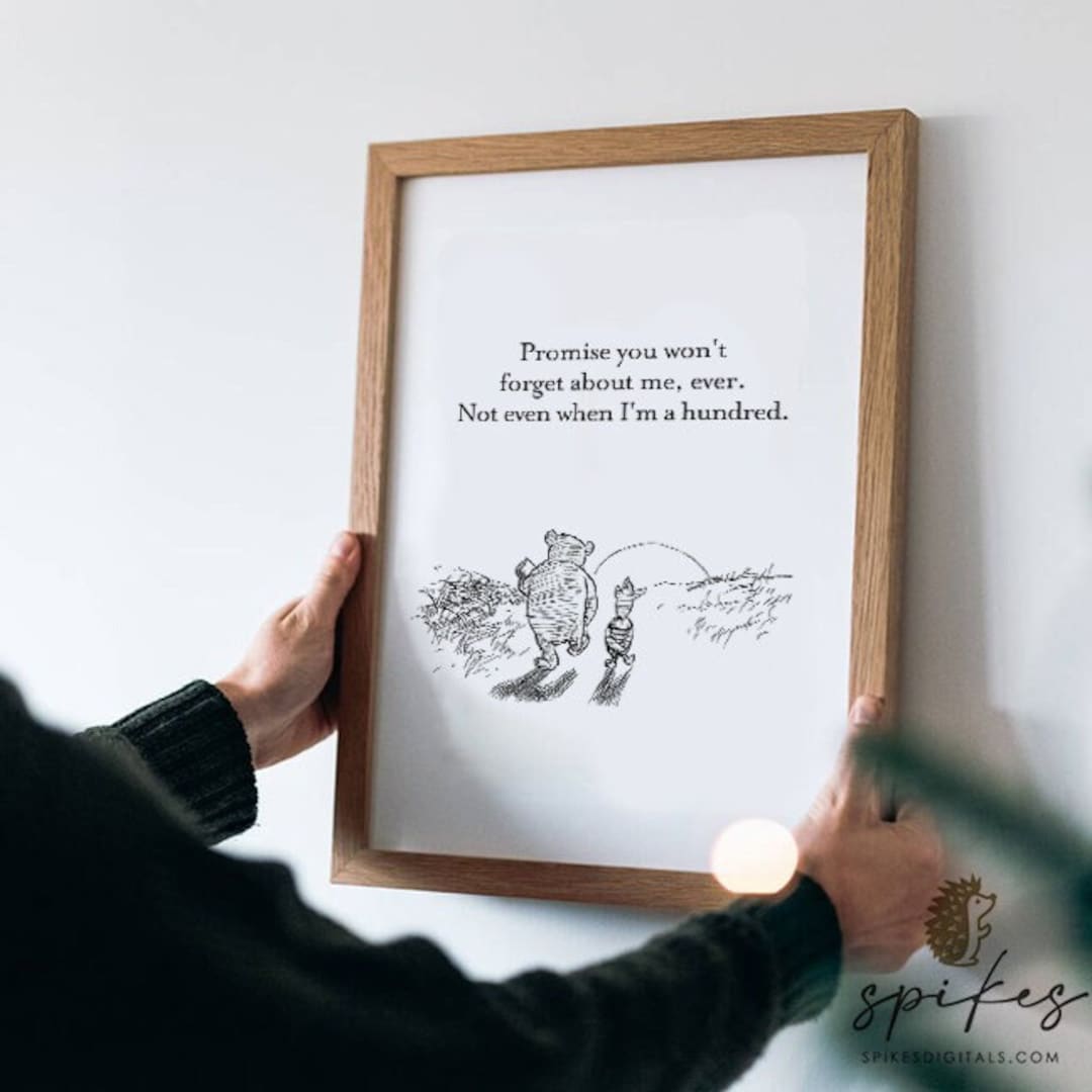 Digital Download/ Promise You Won't Forget About Me Ever Not Even When ...