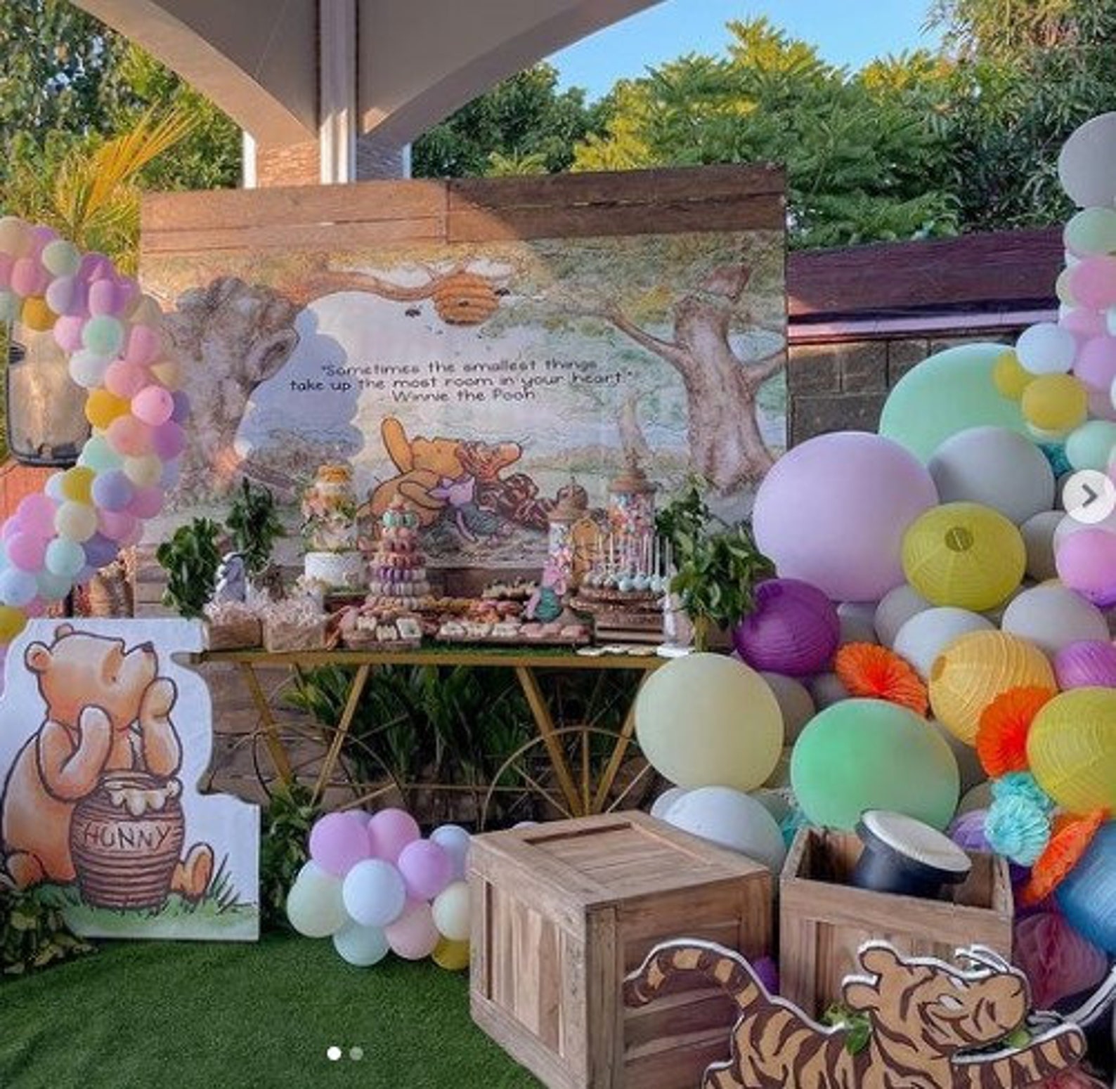 72x48 Classic Winnie the Pooh Backdrop Background - Etsy