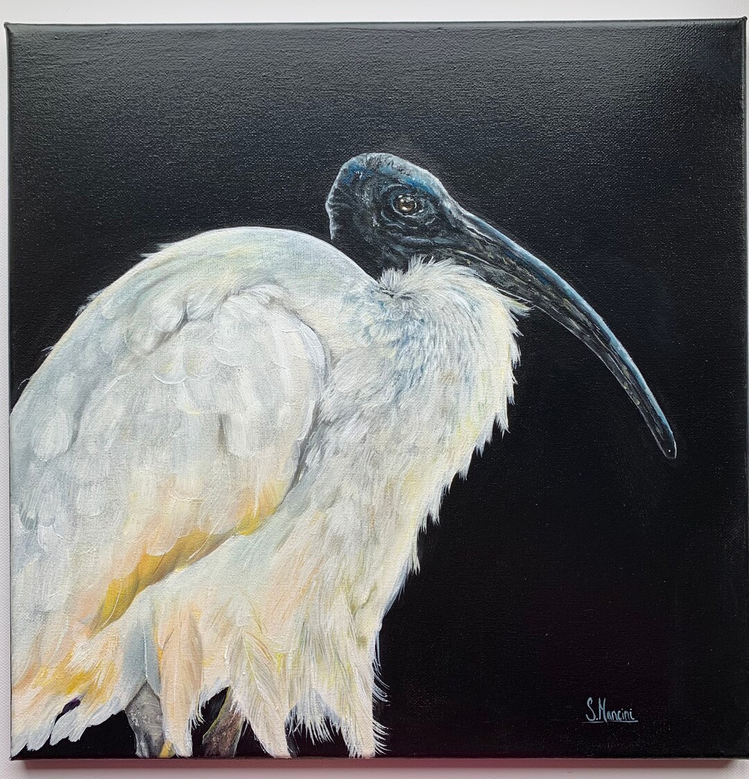 White Ibis Painting, Original Oil Painting, African Wildlife Artwork ...