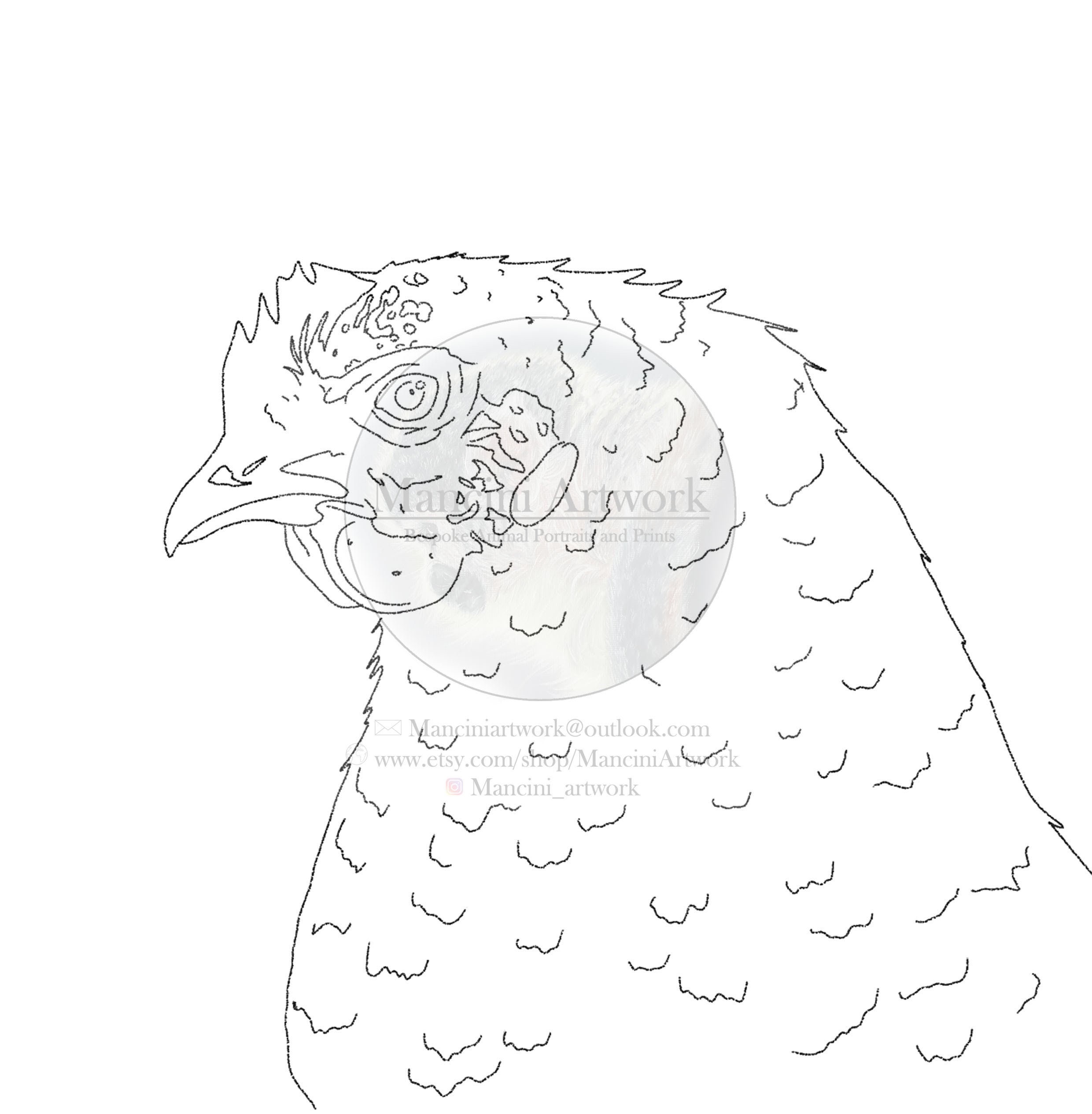 Printable Chicken Coloring Page, Farm Animal Line Art, Digital Download ...