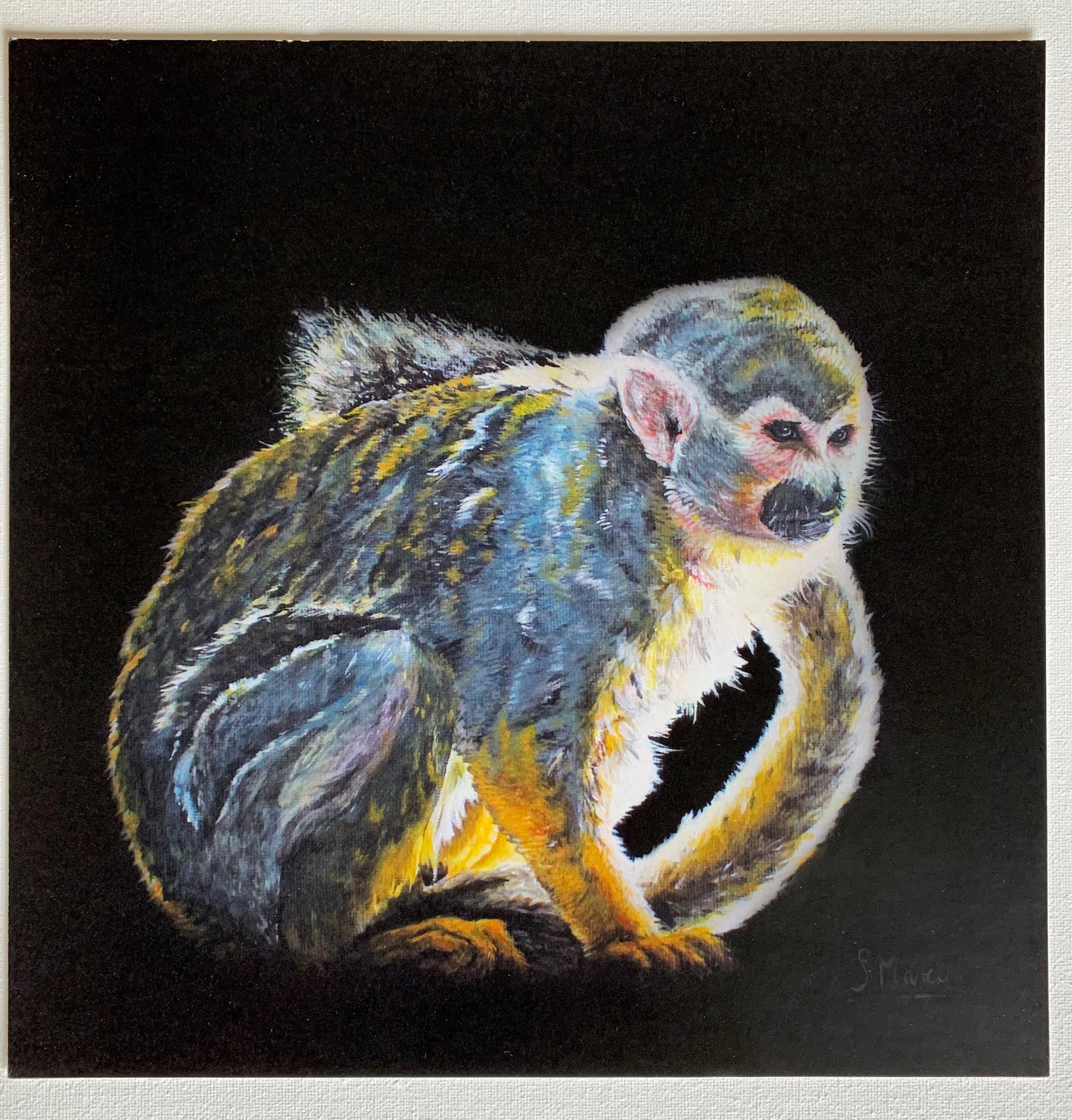 Spider Monkey Print Wildlife Art Monkey Lover Gift - Etsy UK