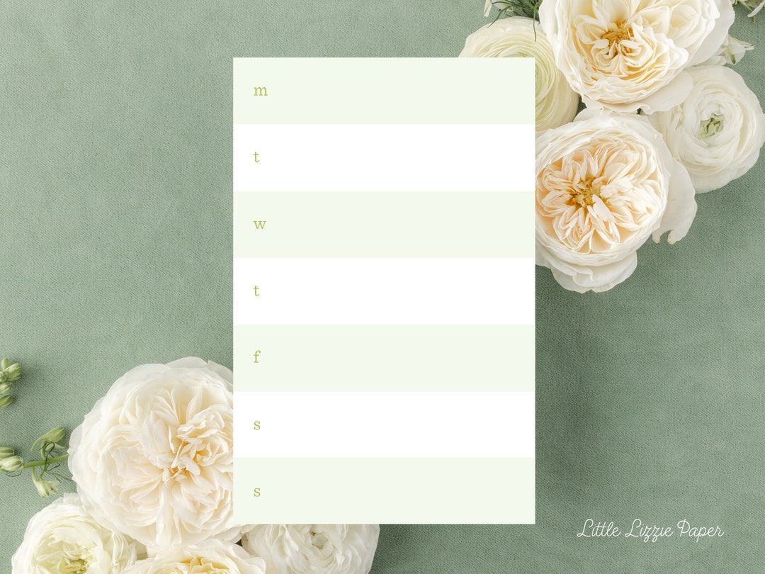 Weekly Color Block Notepad – 50-sheet Tear-off Notepad, 5.5 X 8.5 ...