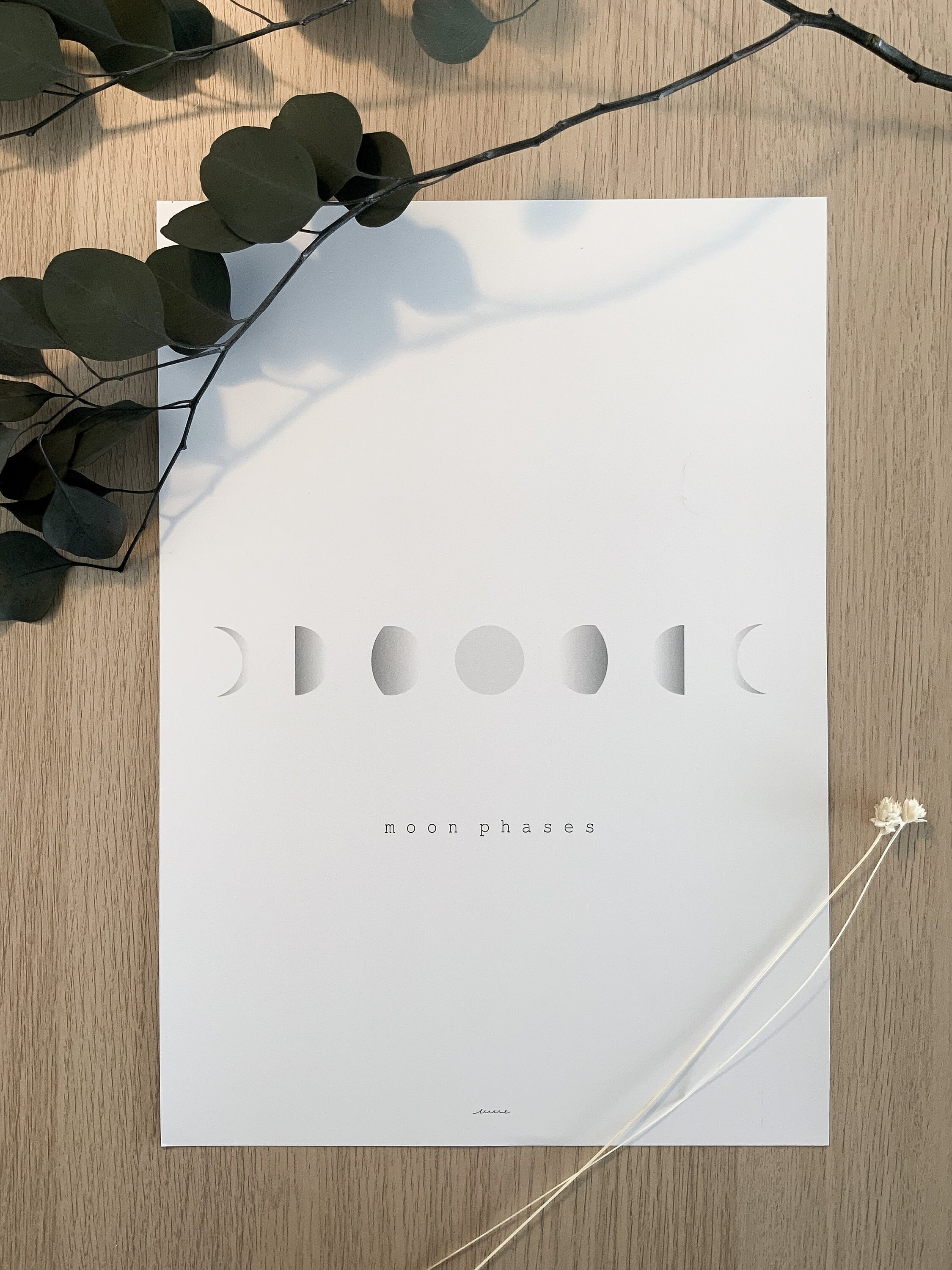 Poster / Poster phases of the Moon - Etsy