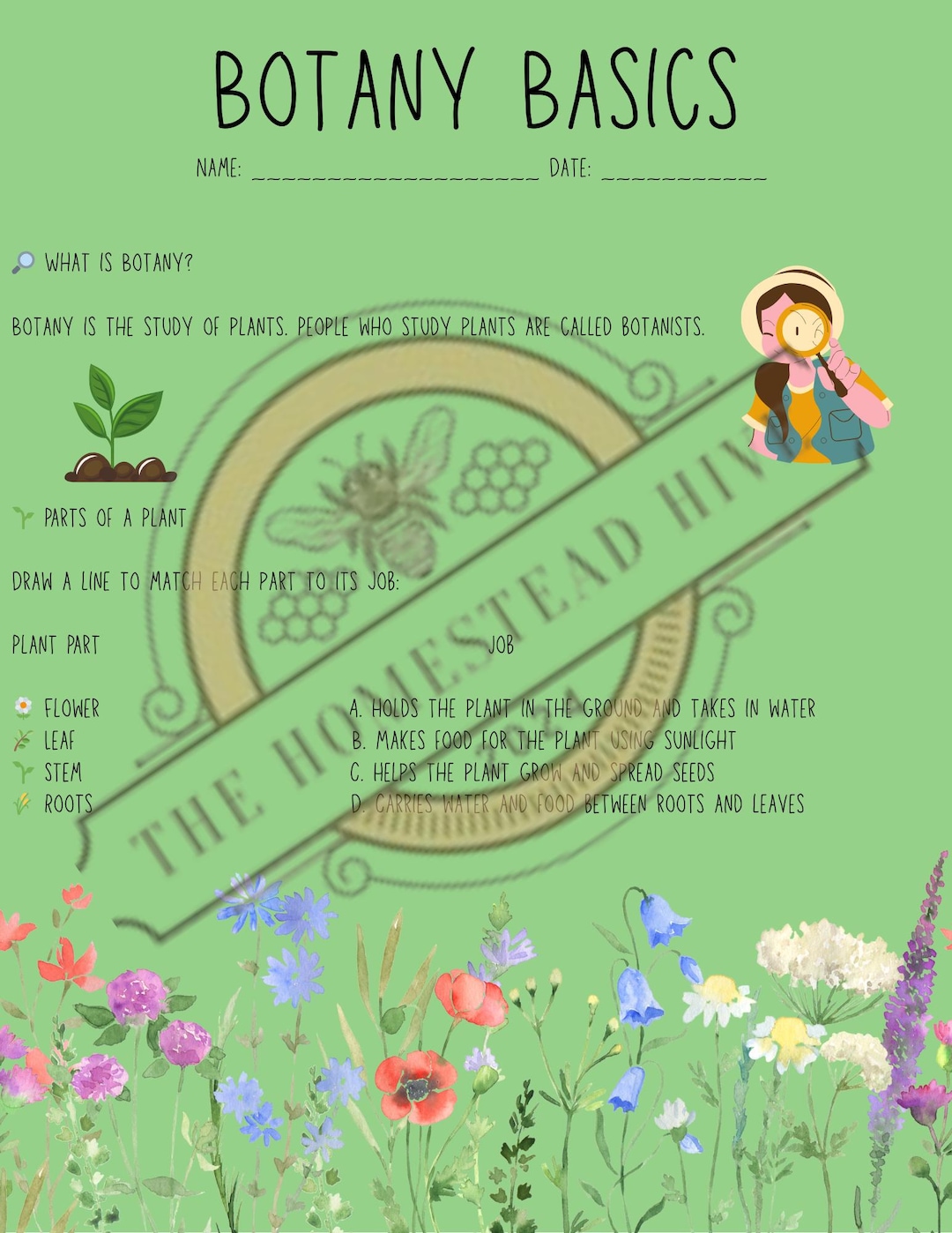Printable Botany Worksheet for Kids | Plant Parts Activity for ...