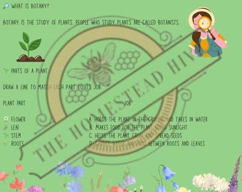 Printable Botany Worksheet for Kids | Plant Parts Activity for ...