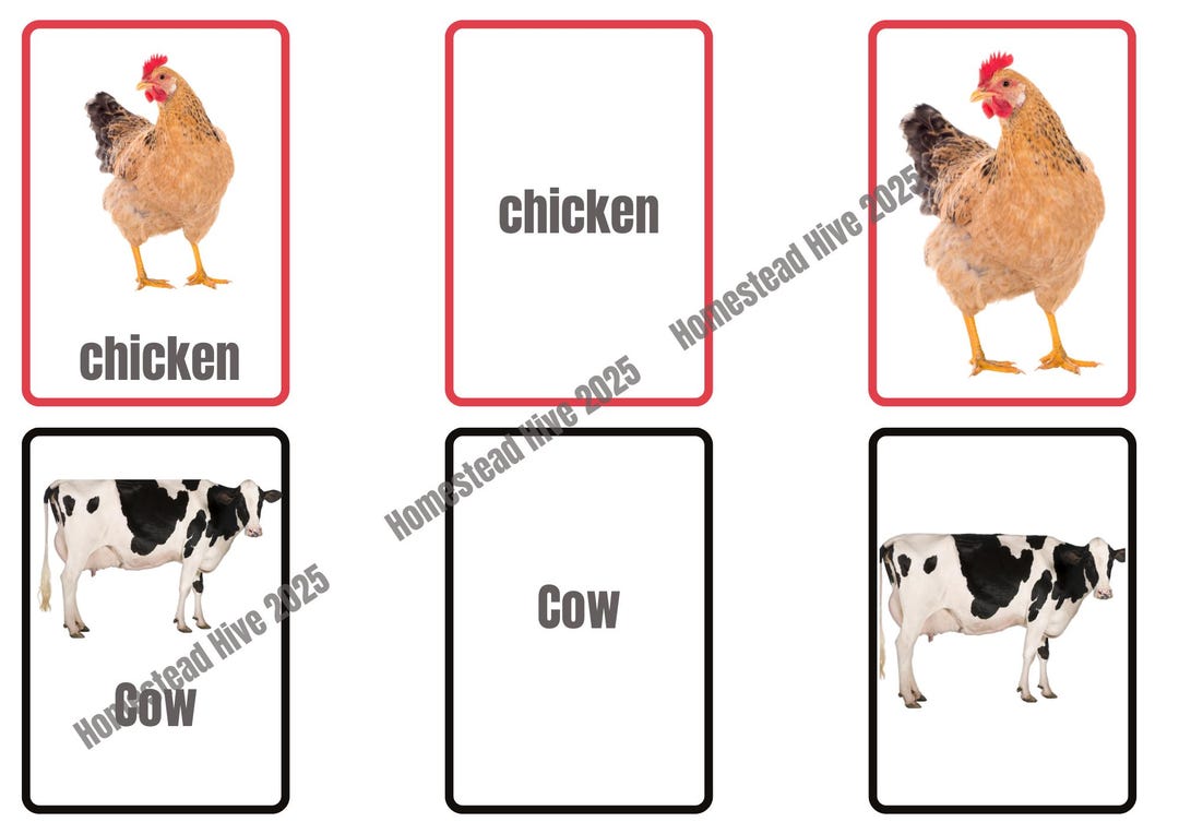 Montessori 3-part Cards Farm Animals | Homestead Animal Flashcards ...