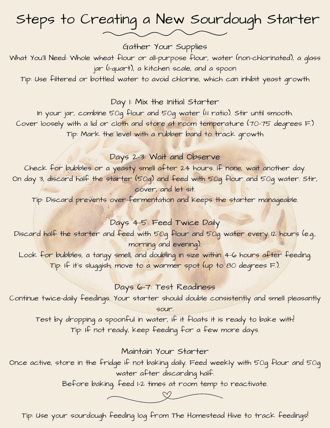 Sourdough Starter Guide - Printable, Homestead Baking Steps, the ...