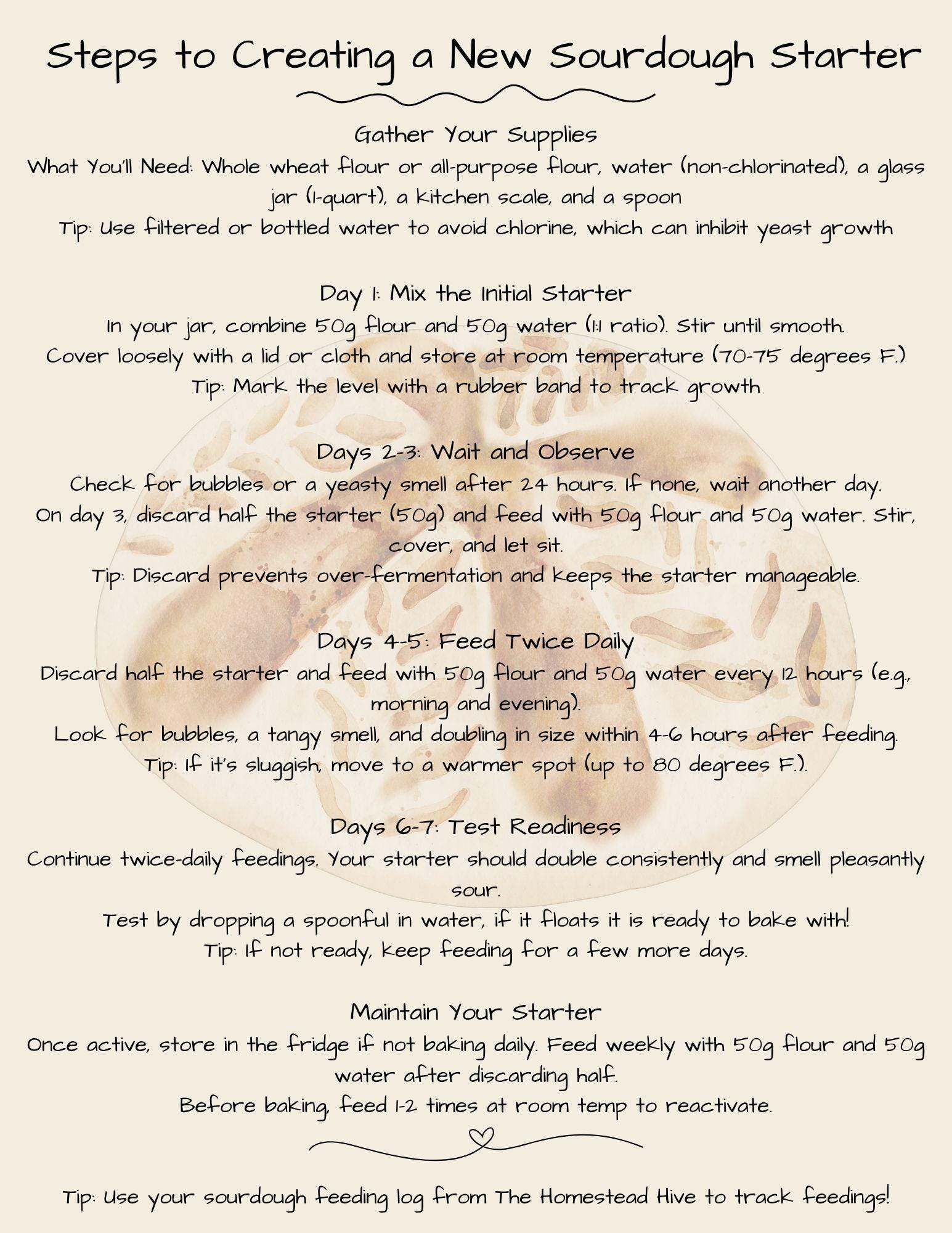 Sourdough Starter Guide - Printable, Homestead Baking Steps, the ...