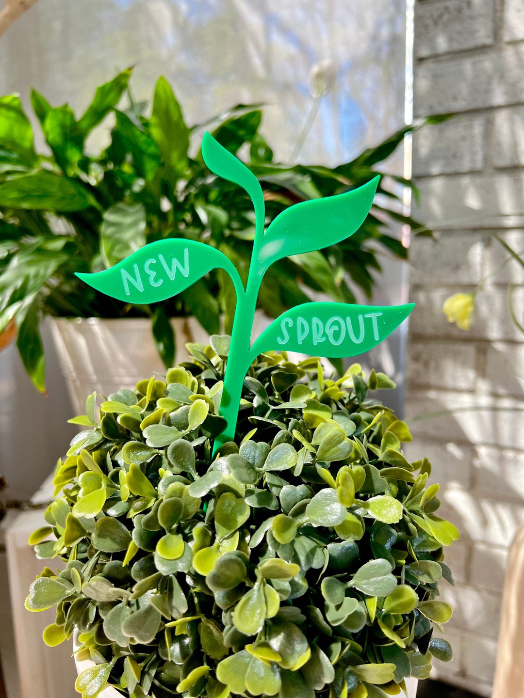 New Sprout Acrylic Garden Stake | Cute | Decoration | Plant Marker - Etsy