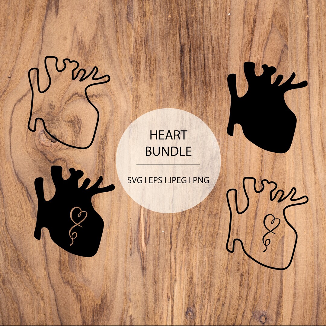 Heart Bundle, Medical Heart Svg, Heart Surgery Gift, Anatomical Heart ...