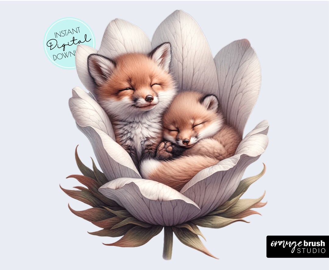 Fox PNG Clipart - Baby Animals PNG, Mother's Day Clipart Sublimation ...