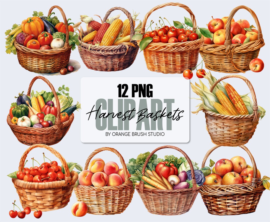 Fall Harvest Clipart Bundle, Watercolor Autumn Clipart PNG. Fall ...