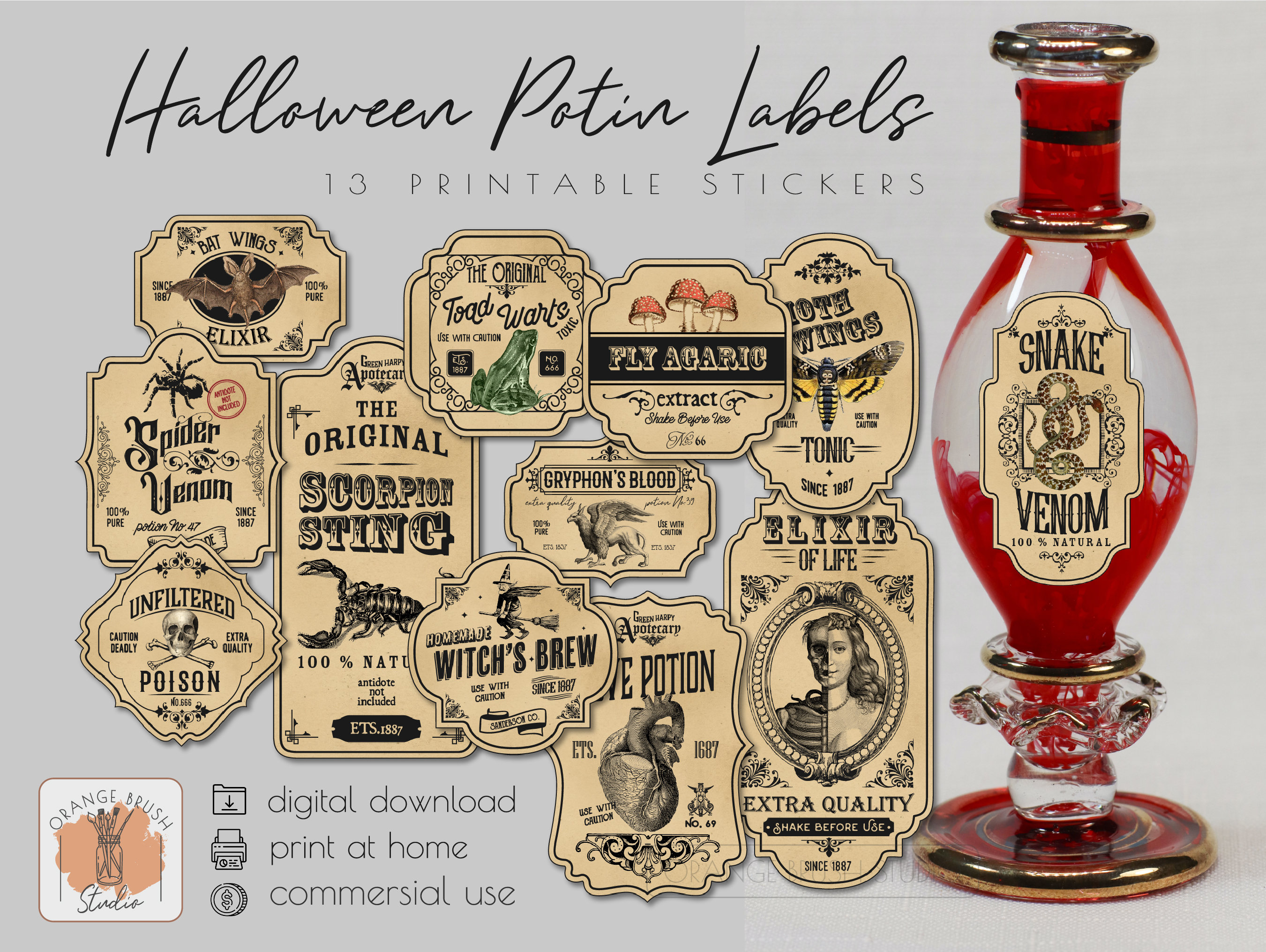 Halloween Potion Labels Apothecary Potion Label Vintage - Etsy