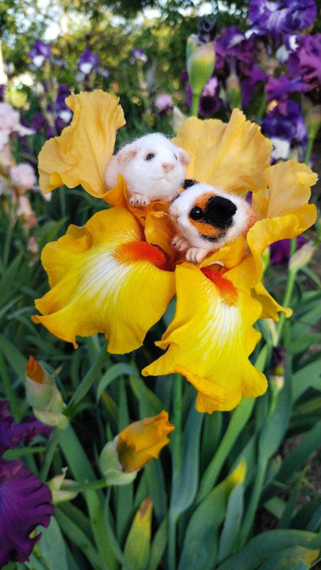 Guinea Pig, Rodents, Woolen Pig, Felted Guinea Pig - Etsy