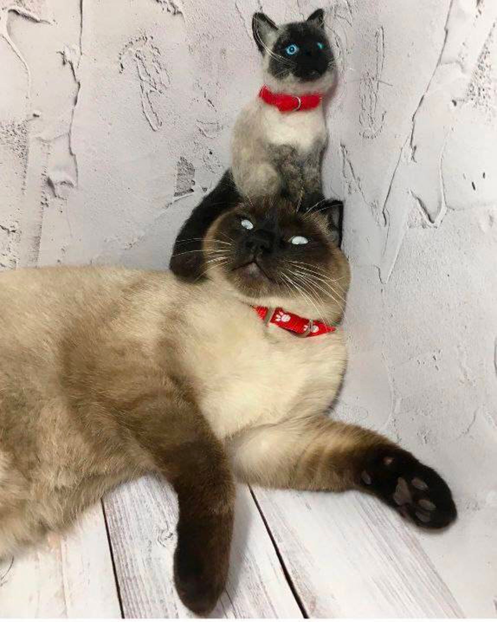 Woolen Cat,figure Cat, Felted Cat, Siamese Cat - Etsy