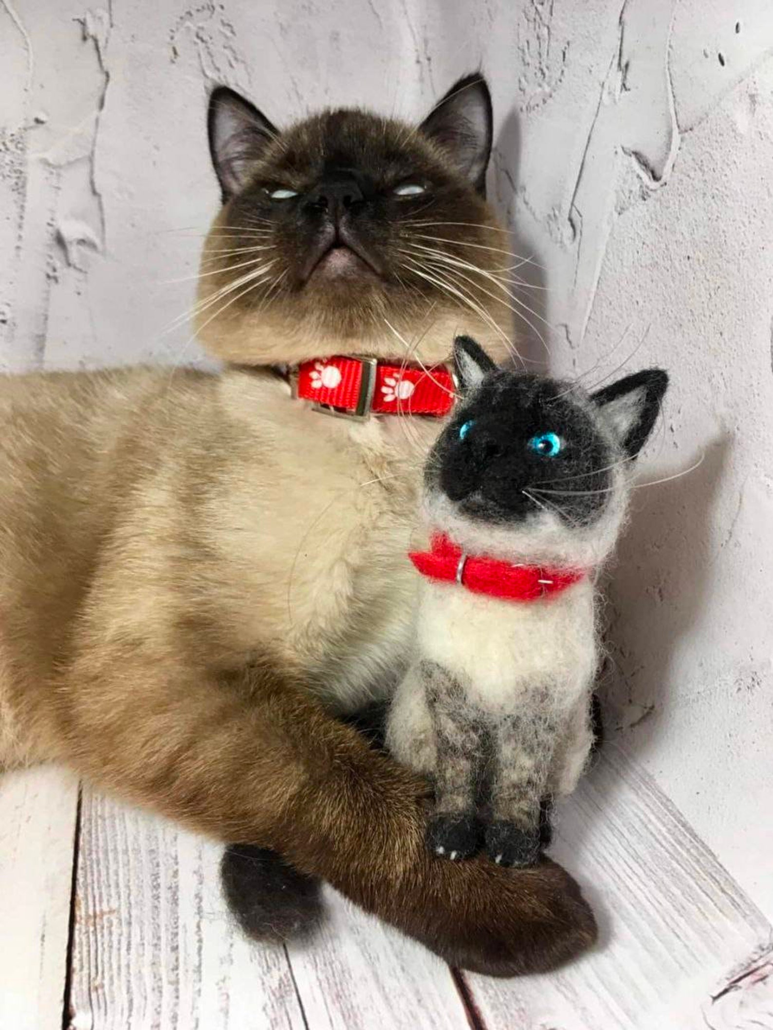 Woolen Cat,figure Cat, Felted Cat, Siamese Cat - Etsy