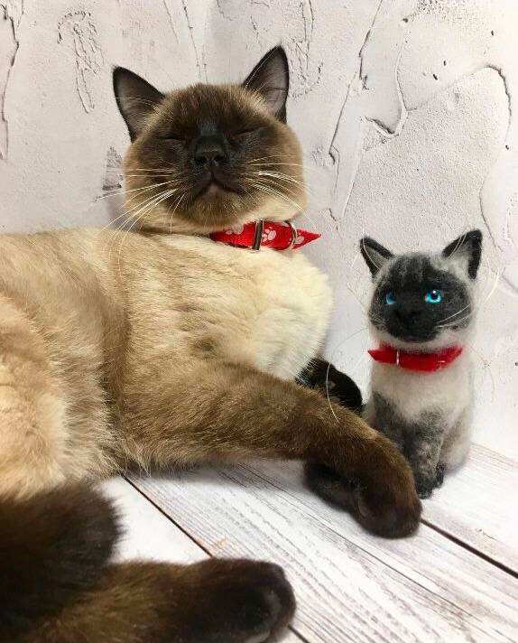 Woolen Cat,figure Cat, Felted Cat, Siamese Cat - Etsy