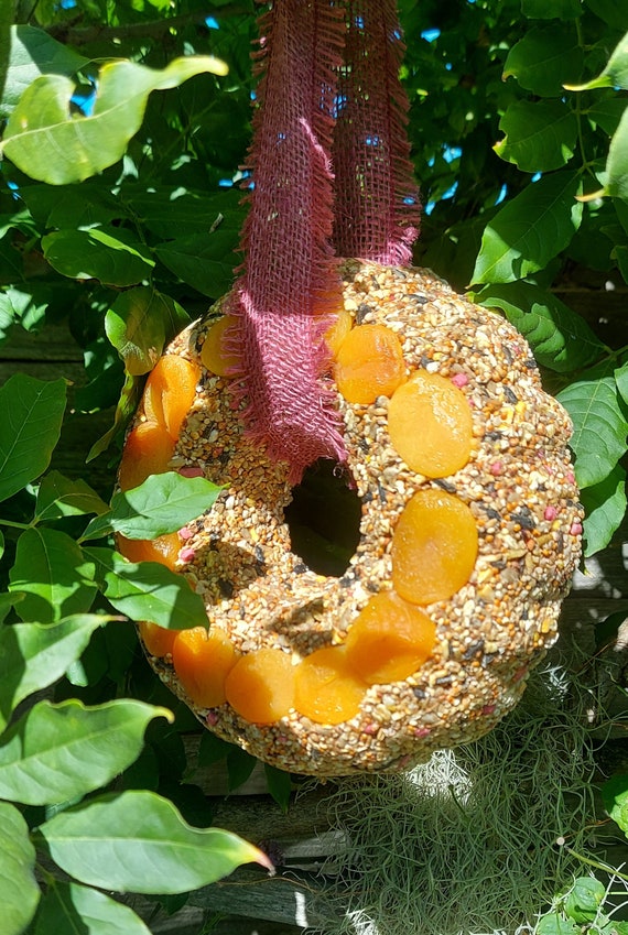 Bird Seed Wreath - Etsy