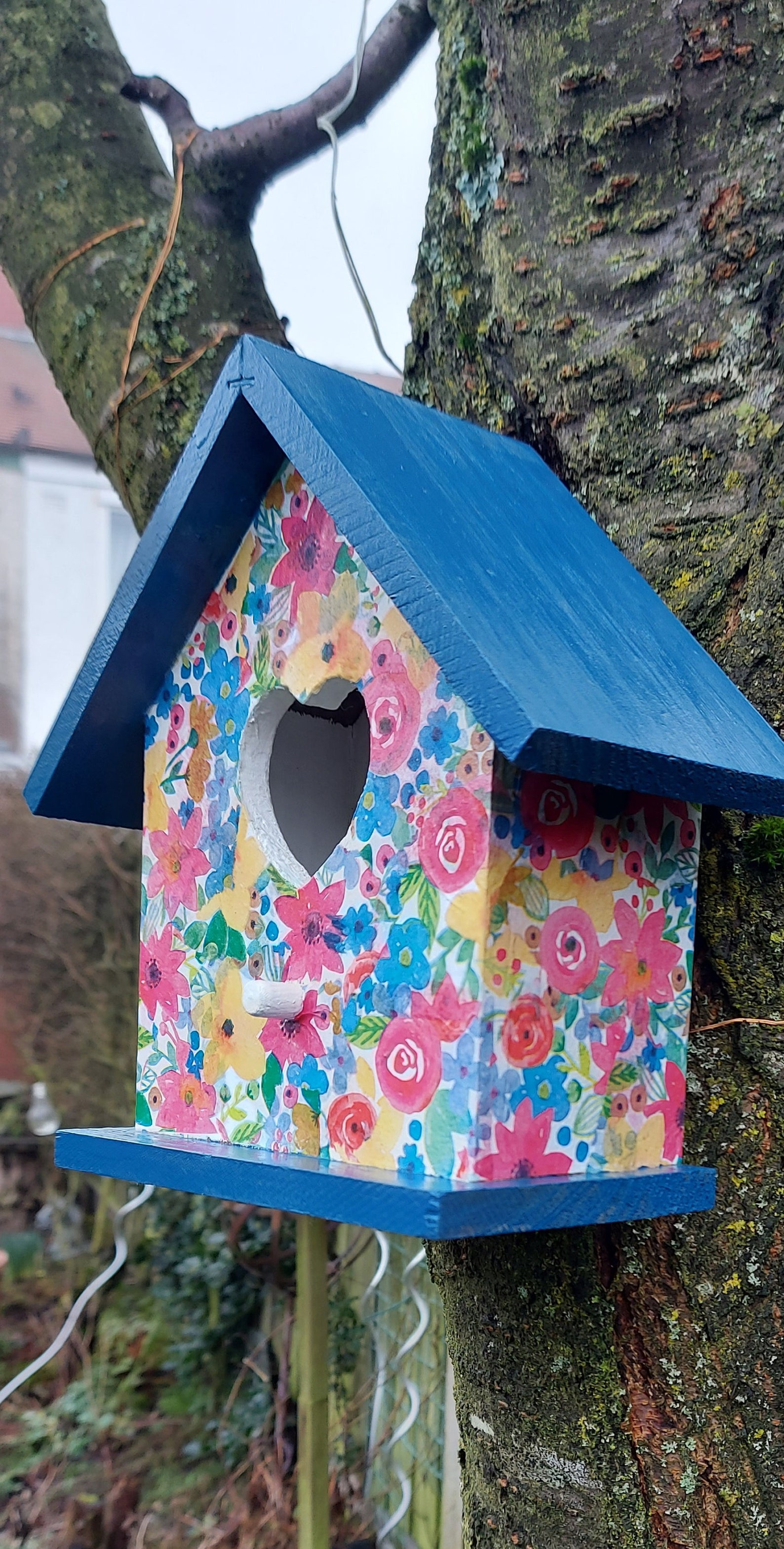 Bird House Bird Box | Etsy