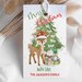 Editable Little Deer Christmas Gift Tag, Christmas Woodland Gift Tag ...