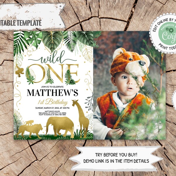 Wild One Birthday Boy - Etsy