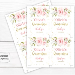 Editable Quinceanera Juice Box Labels , Blush Pink Floral Juice Pouch ...
