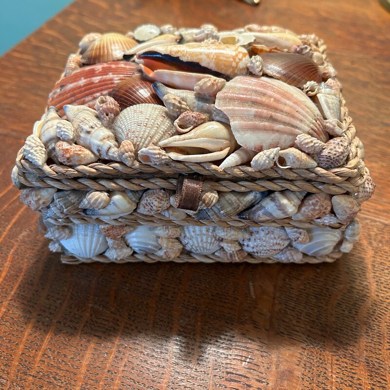 Seashell Jewelry Box - Etsy