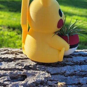 Pikachu Planter - 3D Printed - Etsy