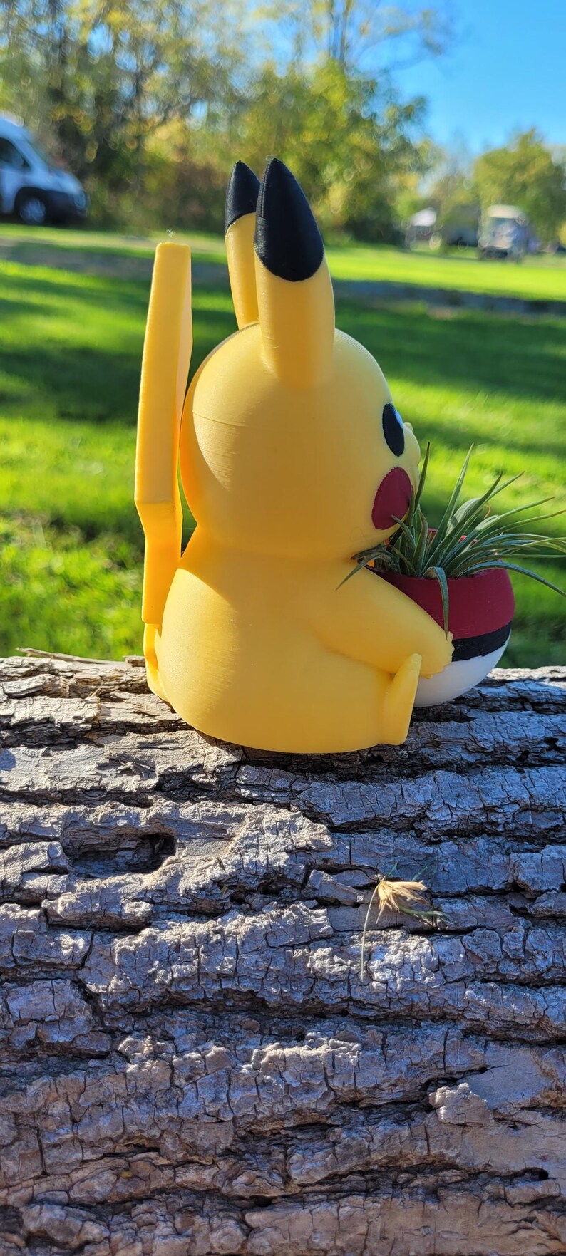 Pikachu Planter - 3D Printed - Etsy