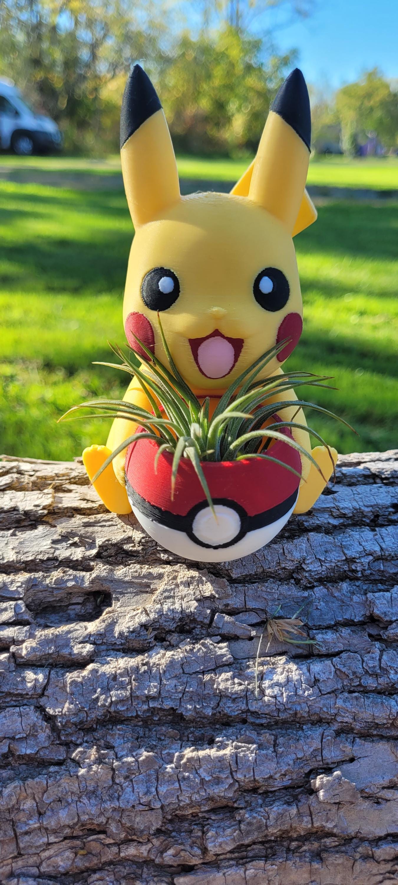 Pikachu Planter - 3D Printed - Etsy