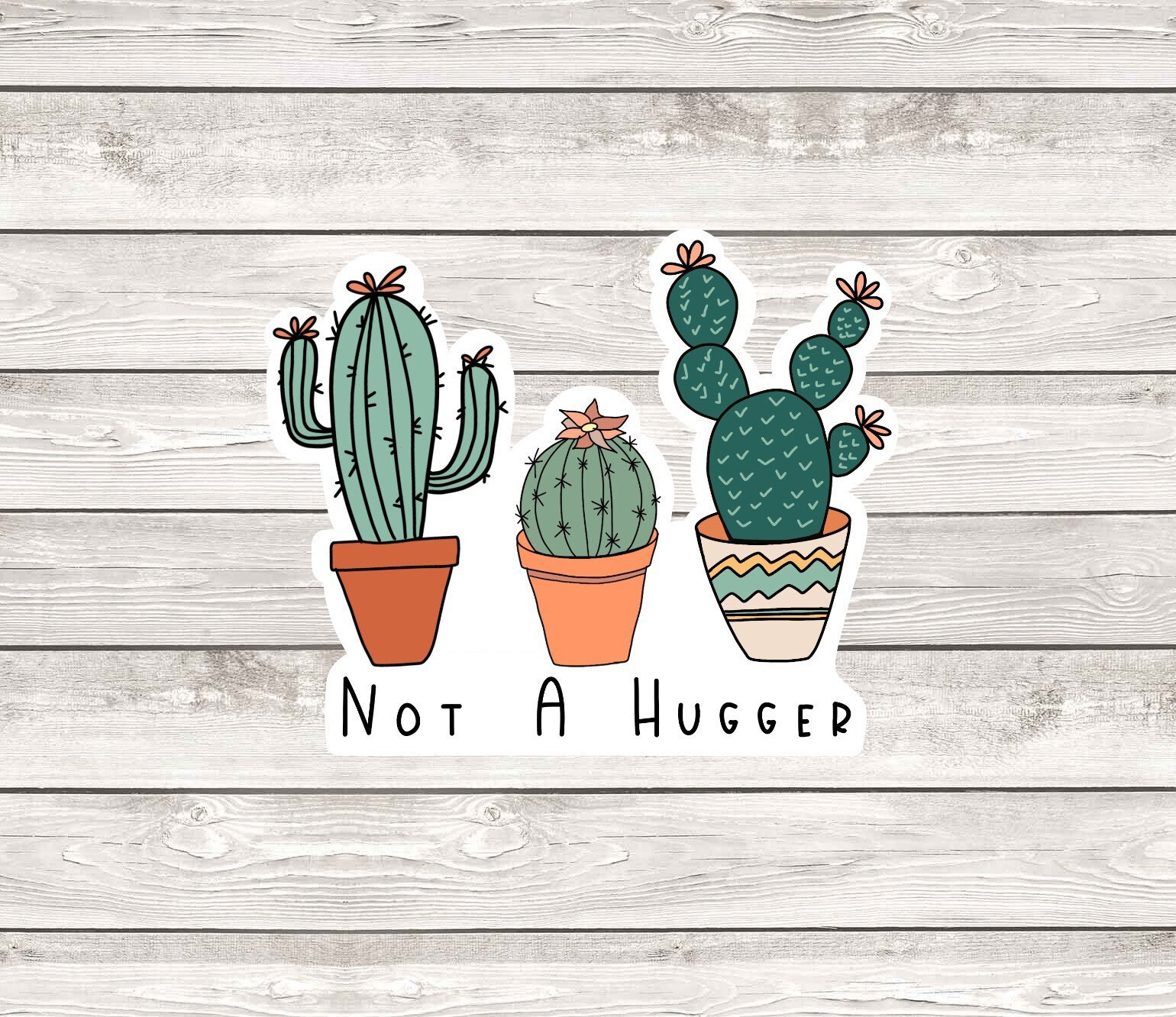 Not A Hugger Cactus VinylmSticker | Etsy