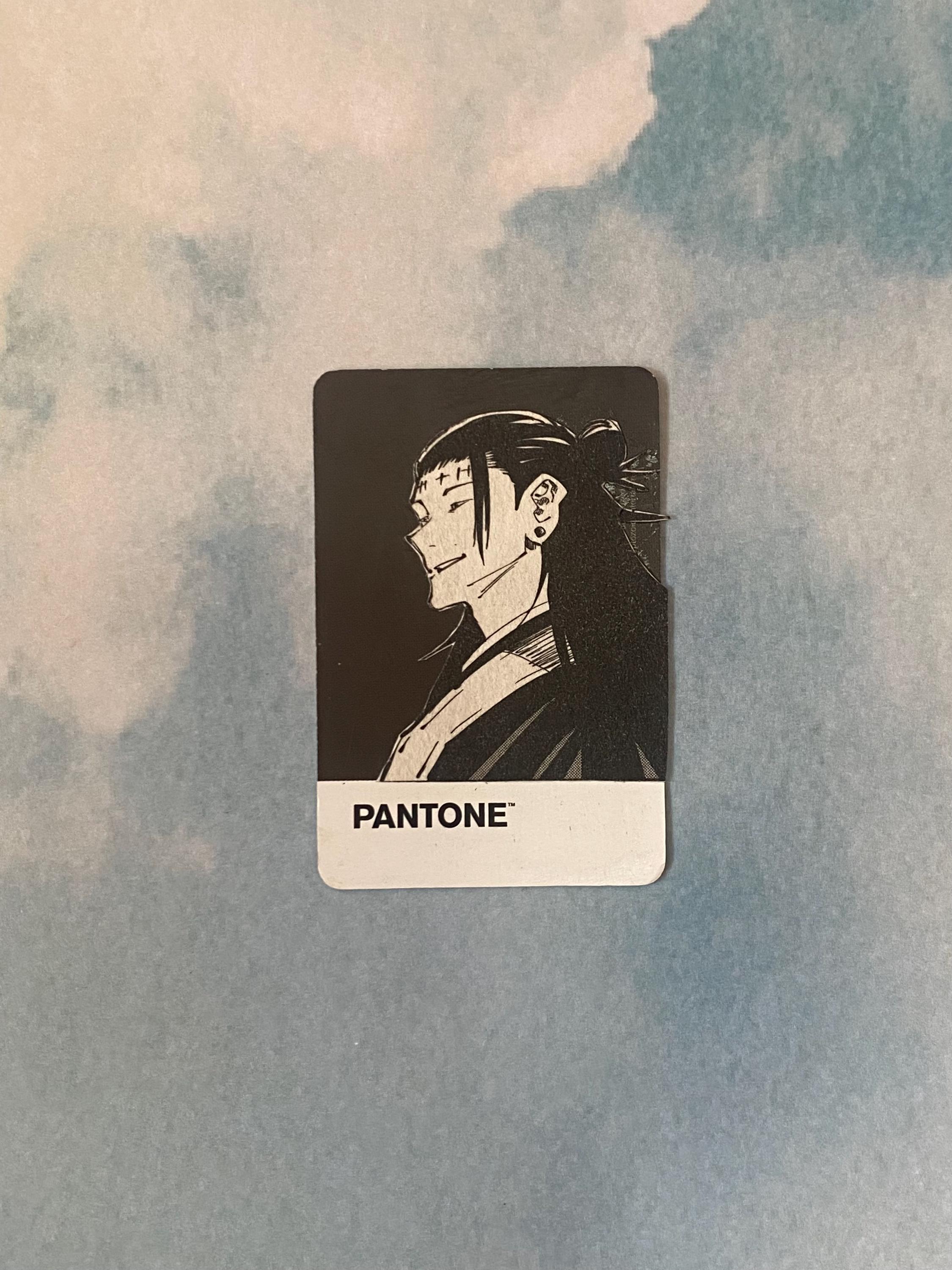Pantone Anime Manga Character Mini Photocards - Etsy