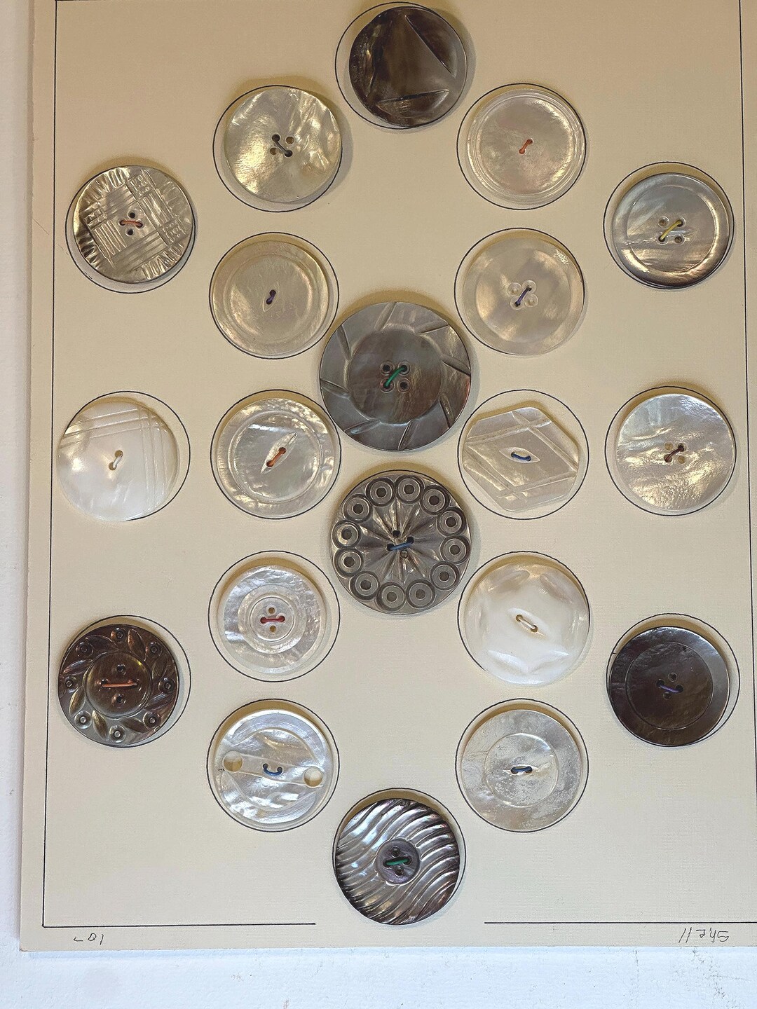 Vintage Shell Buttons Collection, 1920s-40s, Crafting or Display - Etsy