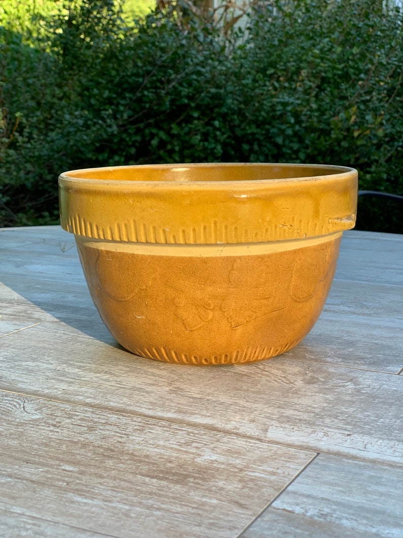 Vintage 1930s Yellow Ware Leaves and Nuts Pattern Stoneware - Etsy