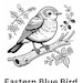 10 Bird Coloring Pages - Etsy