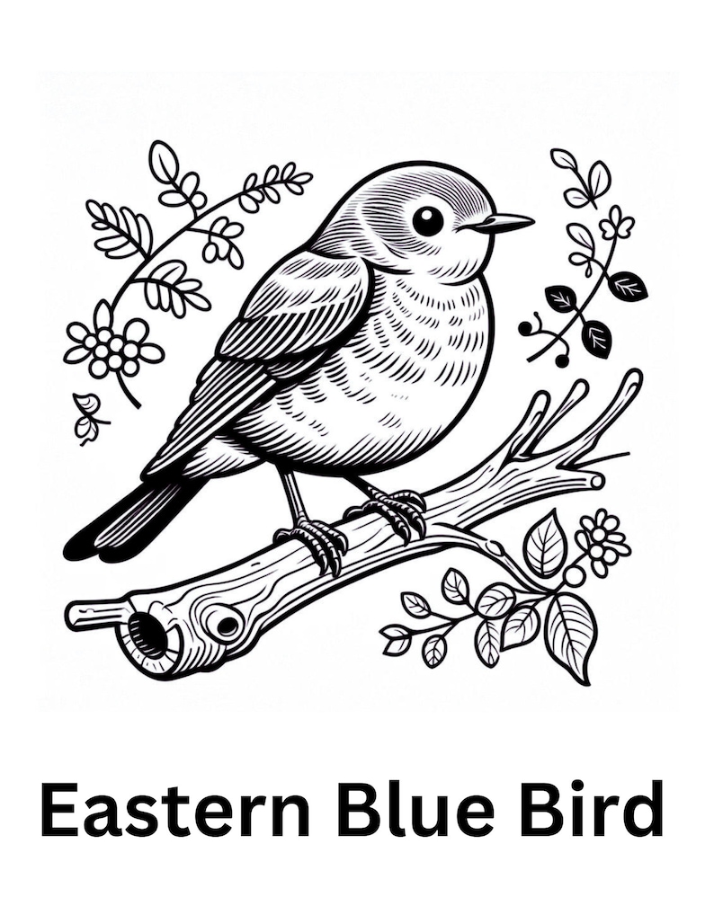 10 Bird Coloring Pages - Etsy