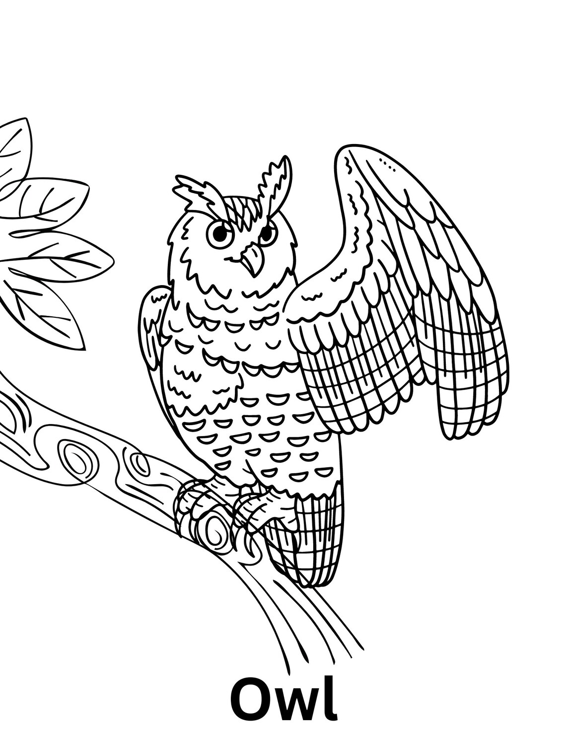 10 Bird Coloring Pages - Etsy